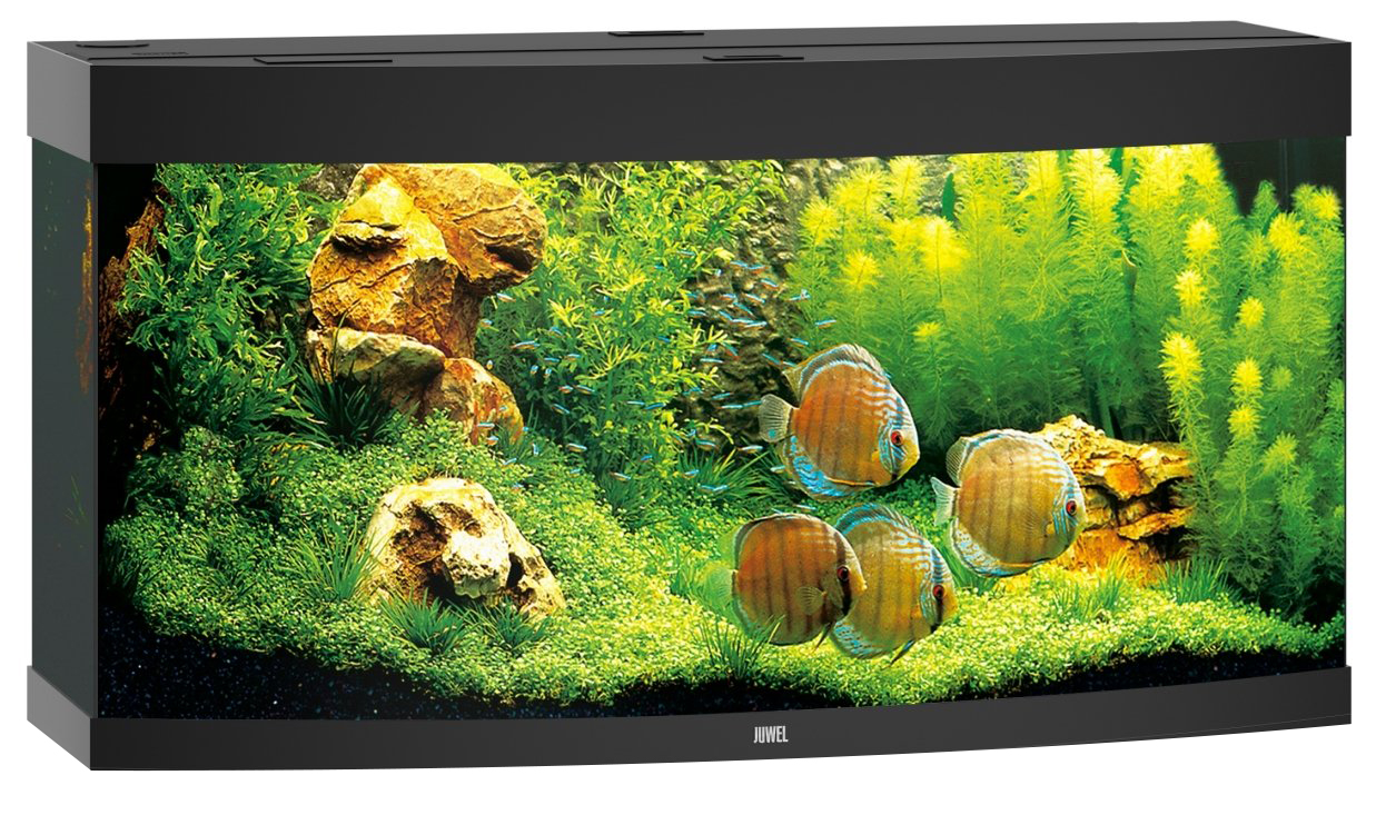 Juwel Vision 260 LED Tank Only • Homeleigh Garden Centres