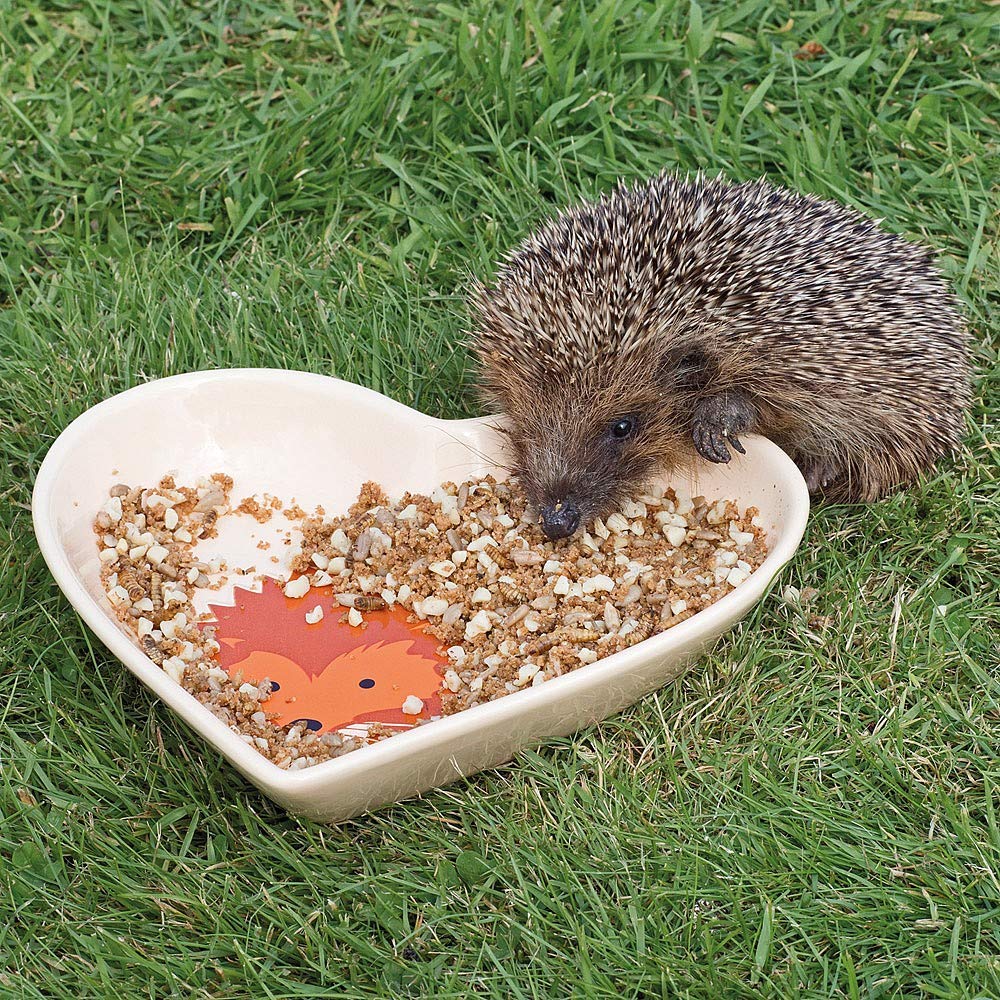 I Love Hedgehog Feeding Bowl • Homeleigh Garden Centres