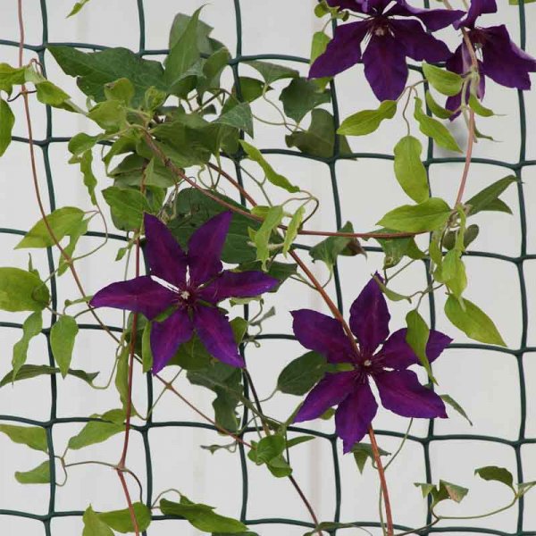 Smart Garden Climbing Plant & Fencing Mesh - Brown 50mm - 1m x 5m ...