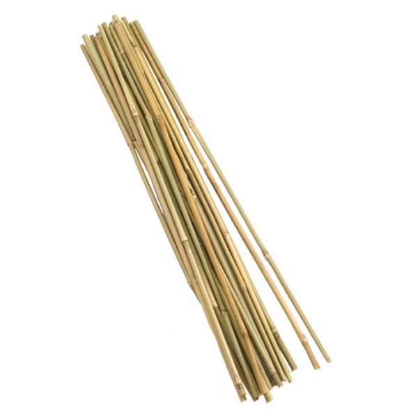 Smart Garden 120cm Bamboo Canes (Bundle of 20) • Homeleigh Garden Centres
