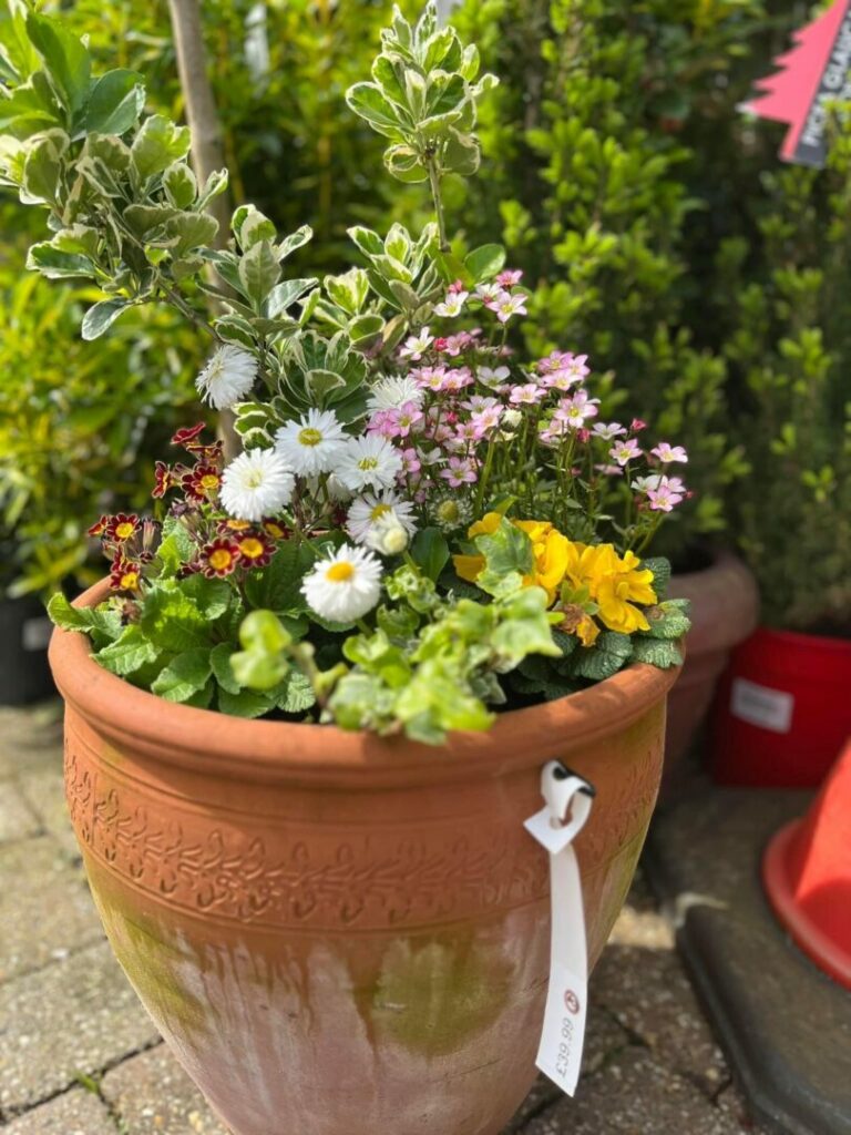 Welcome to Homeleigh Launceston • Homeleigh Garden Centres