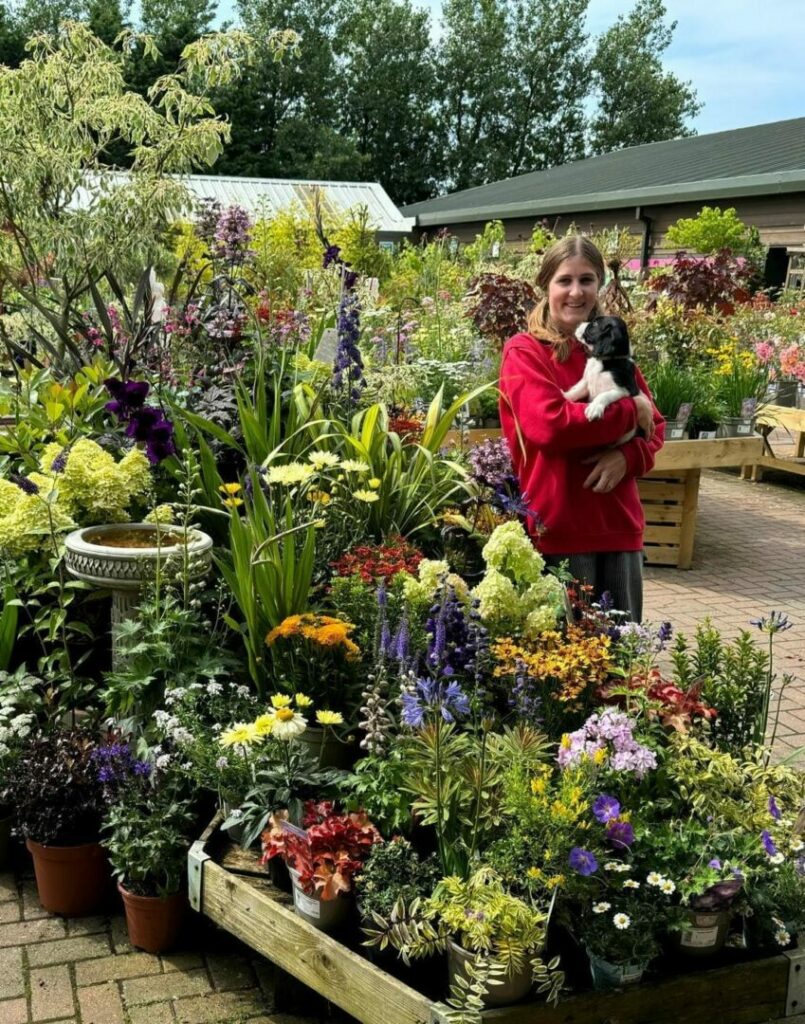 Welcome to Homeleigh Bude • Homeleigh Garden Centres